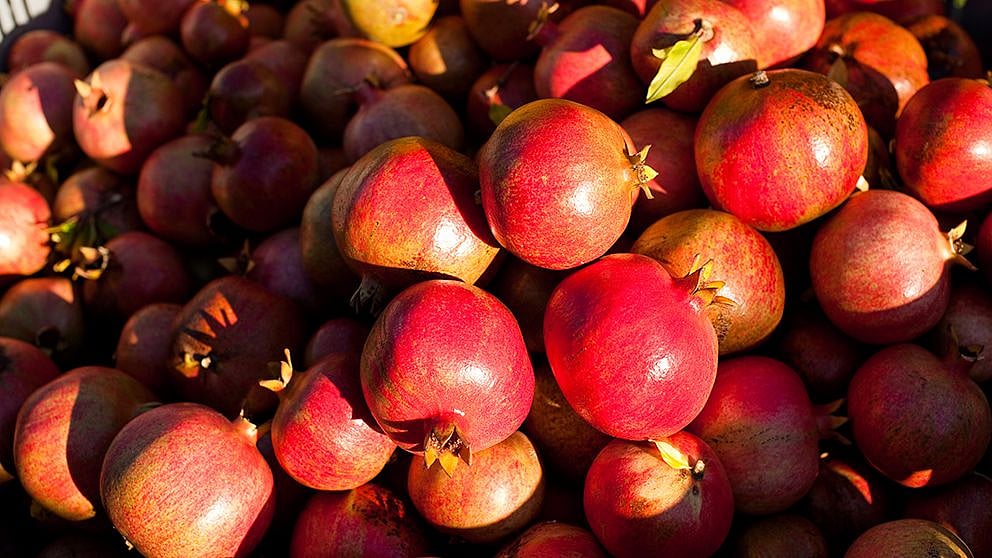 Rodiile sunt cultivate și procesate pentru sucul lo - Weleda